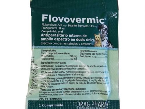 Perros archivos - Chimuelo.cl